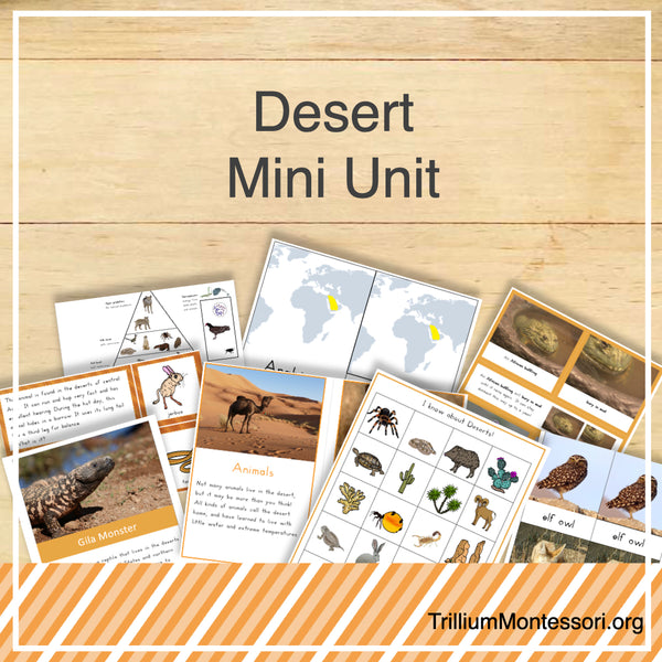 Desert Biome Mini Unit – Trillium Montessori
