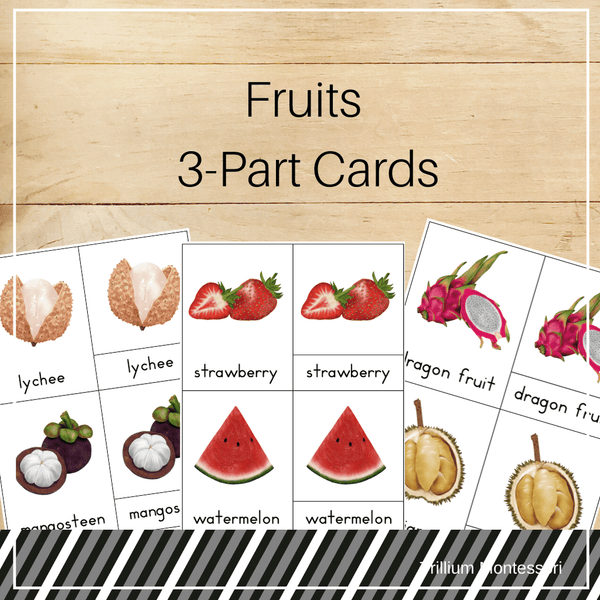 Fruits 3-Part Cards – Trillium Montessori