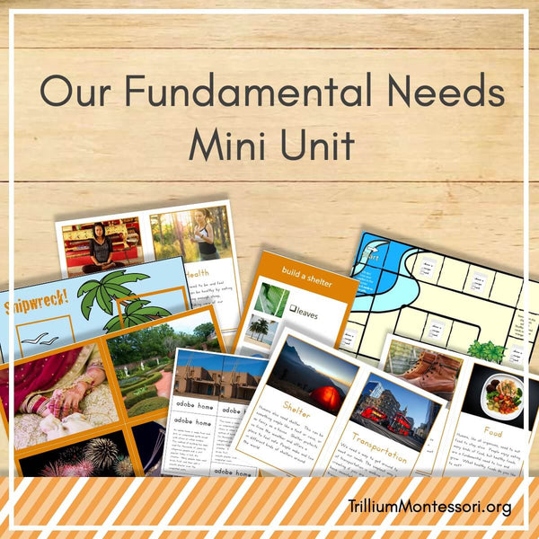 Fundamental Needs Mini Unit – Trillium Montessori