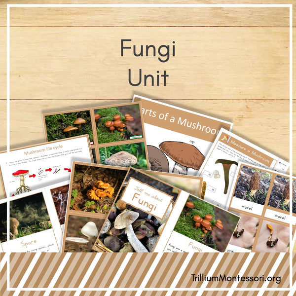 Fungi Mini Unit – Trillium Montessori