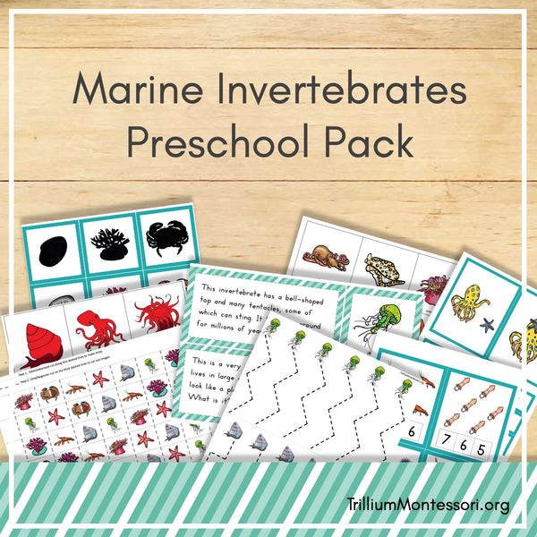 Marine Invertebrates Preschool Pack – Trillium Montessori