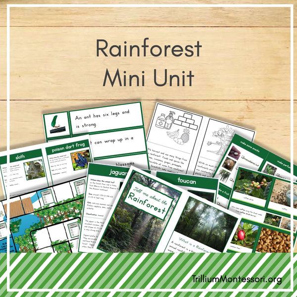 Rainforest Mini Unit – Trillium Montessori