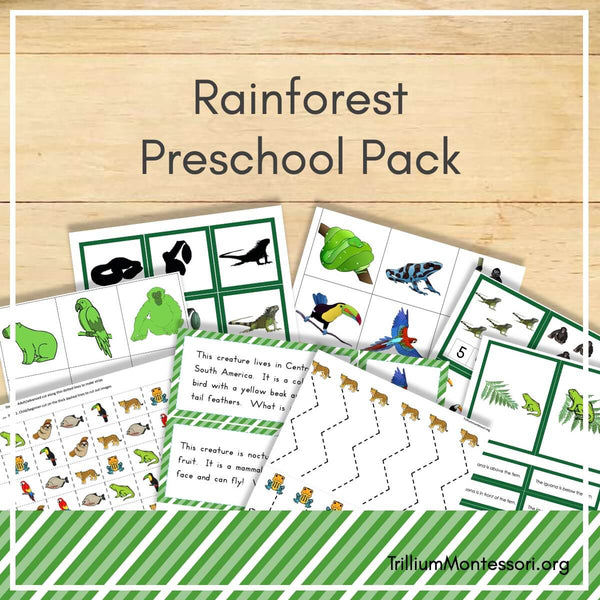 Rainforest Preschool Pack – Trillium Montessori