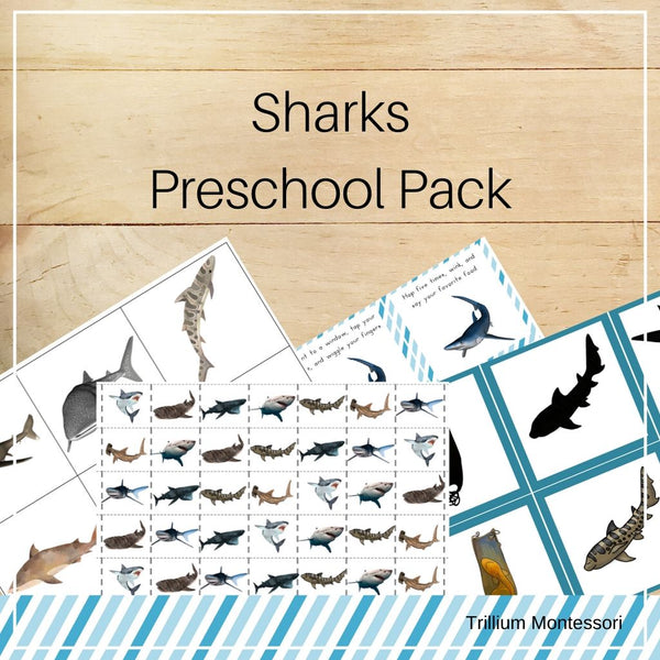 Sharks Preschool Pack – Trillium Montessori