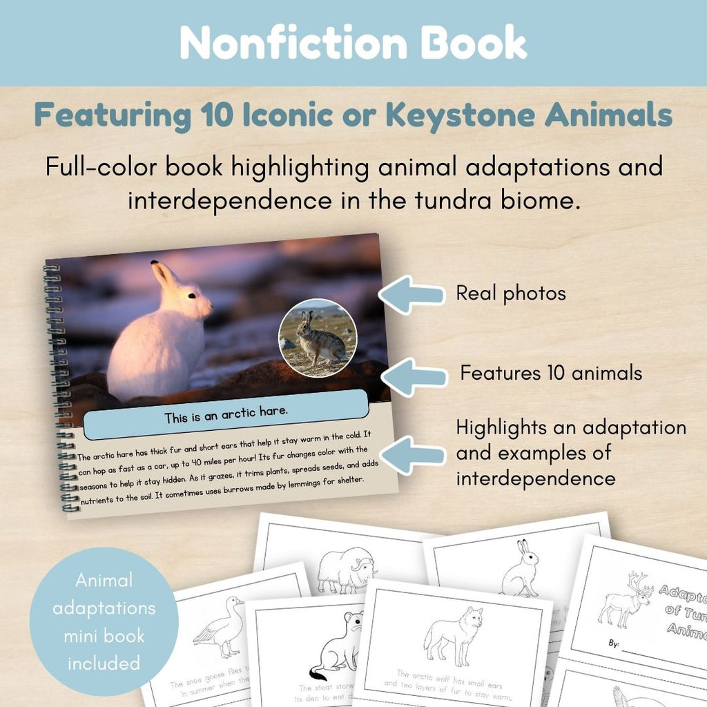 Tundra Biome: Animals – Trillium Montessori