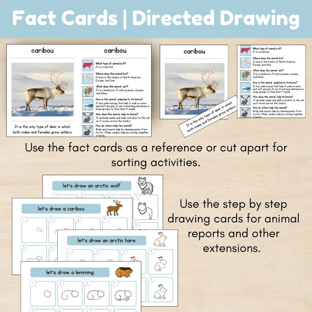 Tundra Biome: Animals – Trillium Montessori