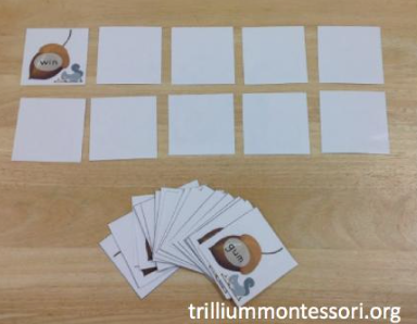 Mini Unit: Animals in Winter - SPANISH – Trillium Montessori